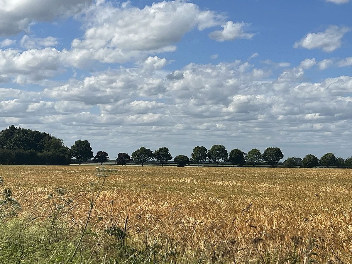 The Suffolk Coast - The Wherry, Halesworth, Suffolk